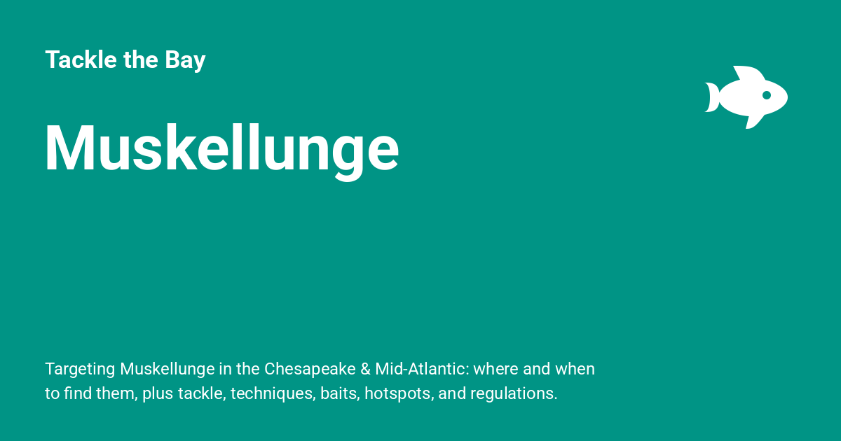 Muskellunge - Tackle the Bay